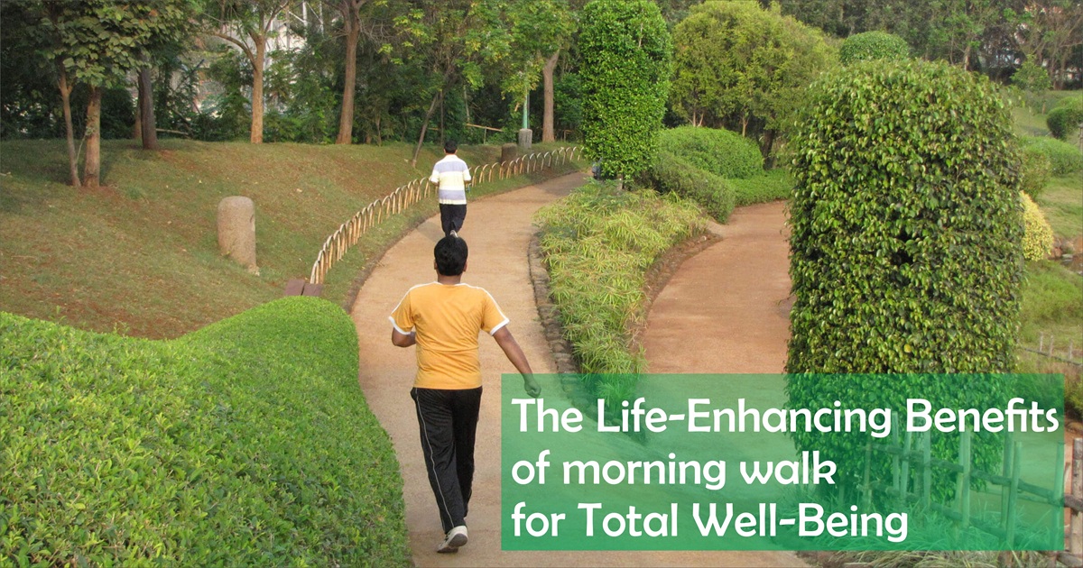 10 Best The Life-Enhancing Benefits of morning walk for Total Well ...
